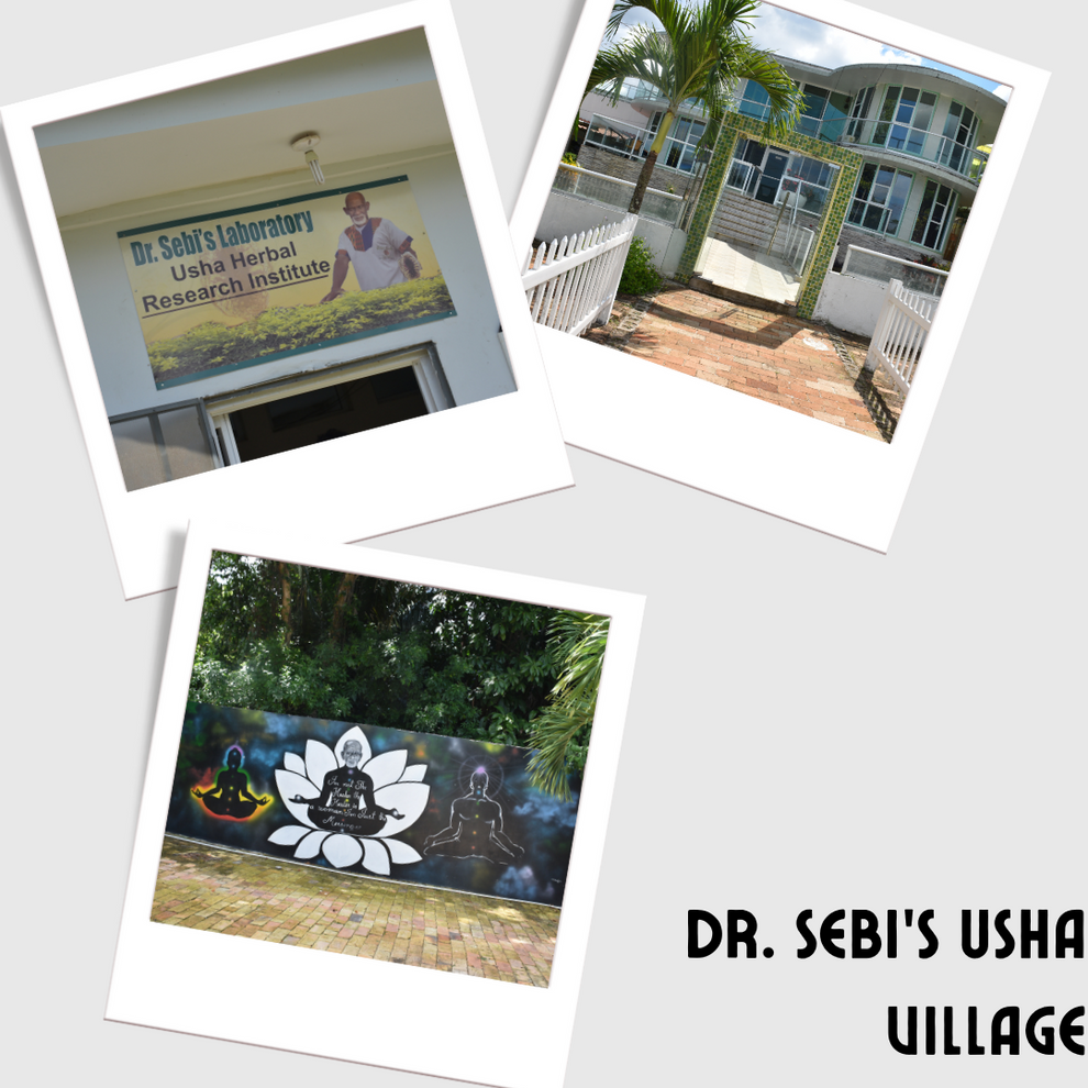 Batana Oil: Directly From La Moskitia Village, Honduras – Beyond Botanix