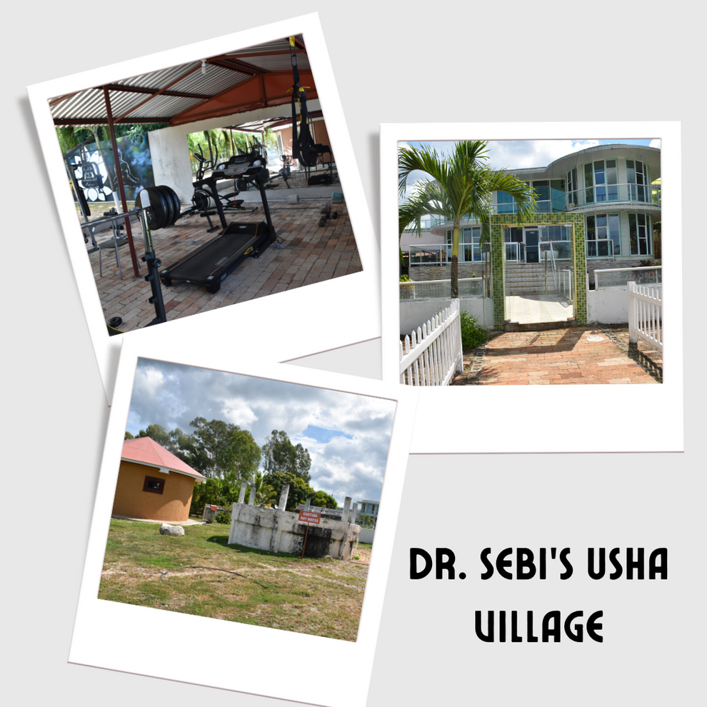 Batana Oil: Directly From La Moskitia Village, Honduras – Beyond Botanix